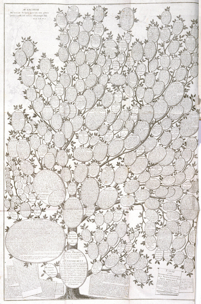 'Tree of knowledge', 1751-1765. – Science & Society Picture Library Prints